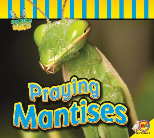 Praying Mantises (Av2 Let's Read! Fascinating Insects): Carr, Aaron ...