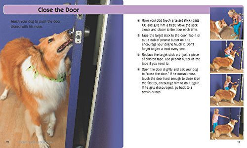 How Do I Teach My Dog To Touch A Target