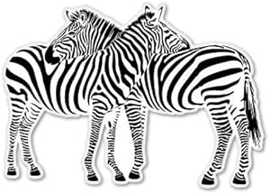 Amazon.com: Carframes18 Two Zebras Vinyl Sticker Bumper Sticker Decal ...