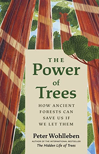 The Power of Trees: How Ancient Forests Can Save Us if We Let Them ...