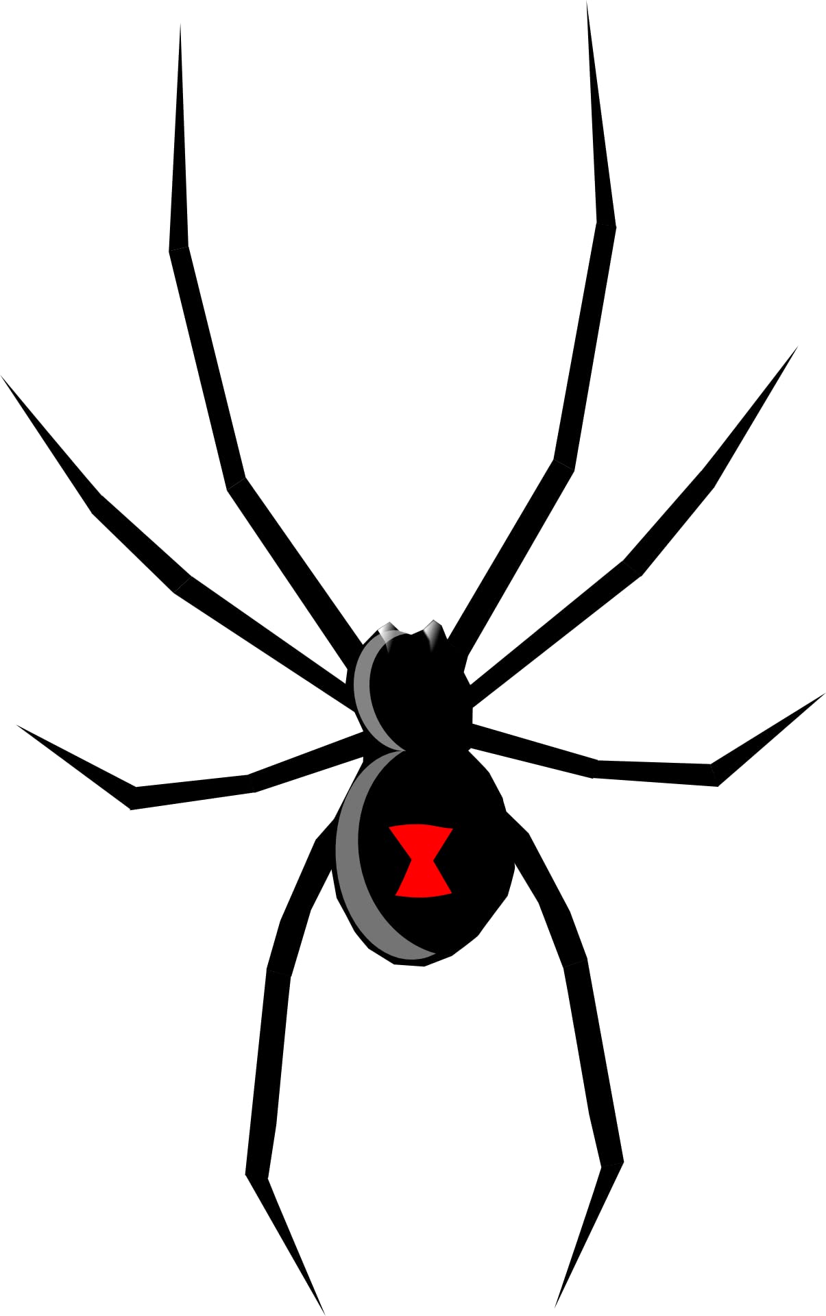 Black Widow Spider Logo