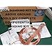 Amazon.com : Pool Bonding Kit with Instructions Complete Equipotential ...