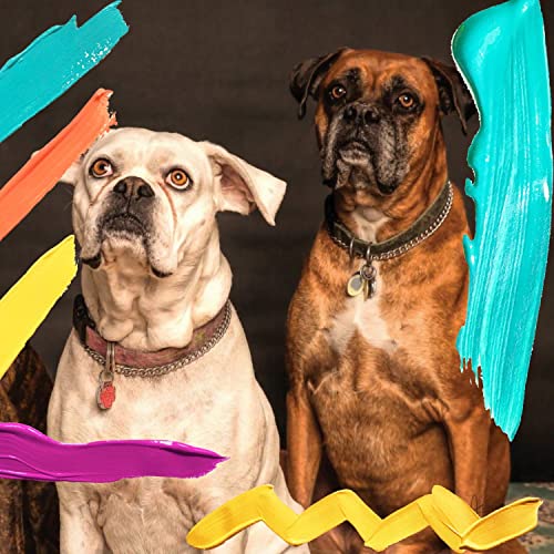 Écouter Bgm for Cute Dogs par Dog Music sur Amazon Music Unlimited