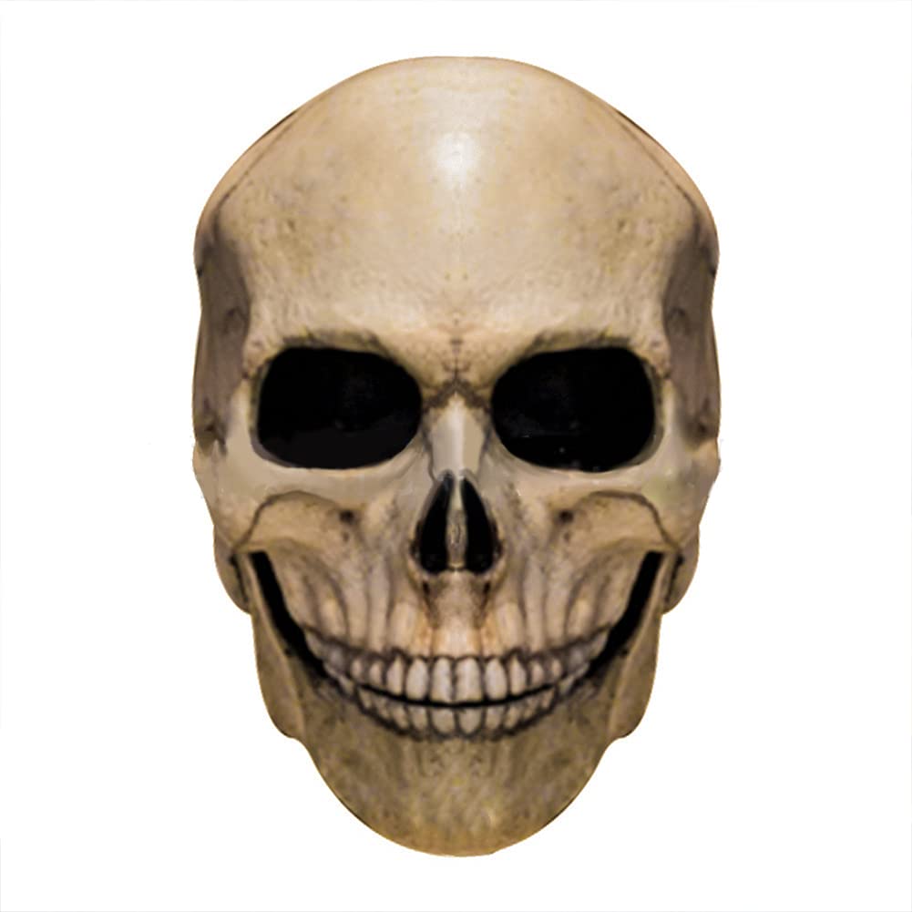 Full Head Skull Mask Helmet With Movable Jaw Creepy Halloween ...