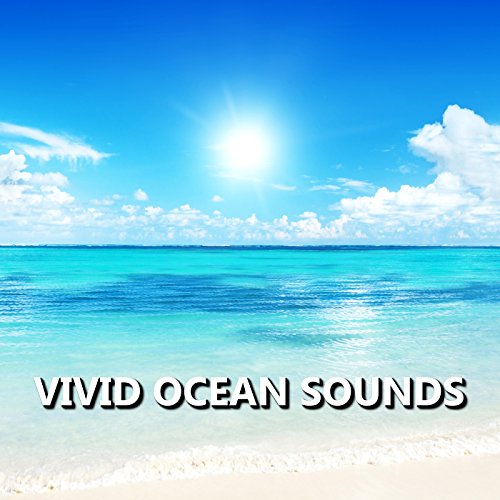 Spiele Vivid Ocean Sounds von Ocean Sounds auf Amazon Music ab