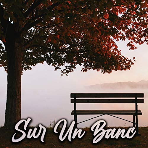 Sur Un Banc : Thomas Fromont-Coppin: Amazon.in: Books