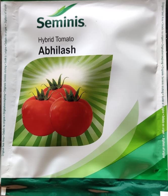 Khetibari, Tomato, Abhilash -10 gm : Amazon.in: Garden & Outdoors