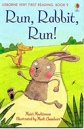 Run, Rabbit, Run!: Mairi MacKinnon: 9781409520146: Amazon.com: Books