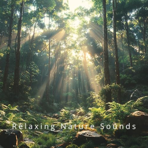 Amazon Music - Relaxing Nature SoundsのPeaceful Forest Nights: Relaxing ...