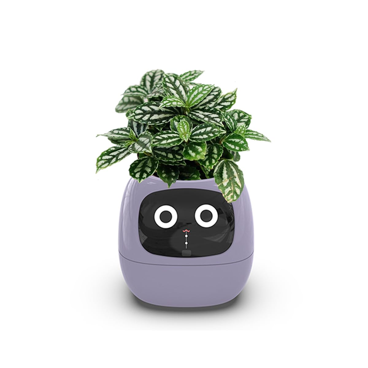 Amazon.com: TPHRAVAL Intelligent Flower Pot, Electronic Bud ...