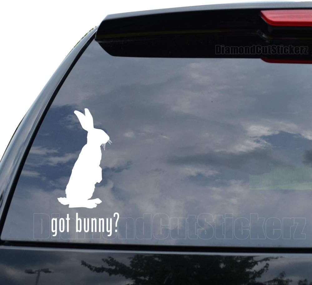 Amazon.com: Bunnies 6 Sticker Decal Vinyl Bumper Sticker Decal ...