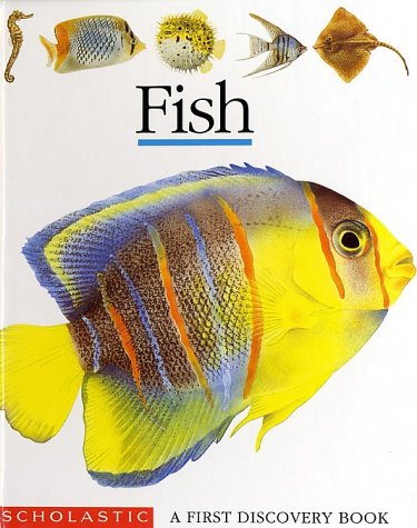 Fish (First Discovery Books): Gallimard, Jeunesse, Krawczyk, Sabine ...