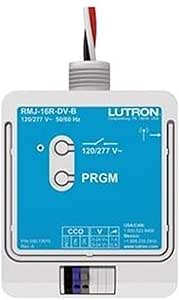 Lutron Series RMJ-16R-DV-B, Relay Module : Amazon.ca: Automotive