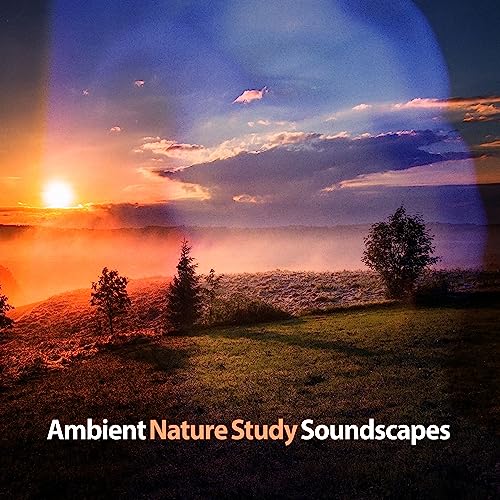 Amazon.com: Ambient Nature Study Soundscapes : Nature Ambience, Nature Soundscape, Brain Study ...