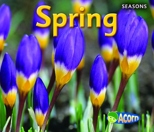 Spring (Acorn: Seasons): Siân Smith: 9780431192789: Amazon.com: Books