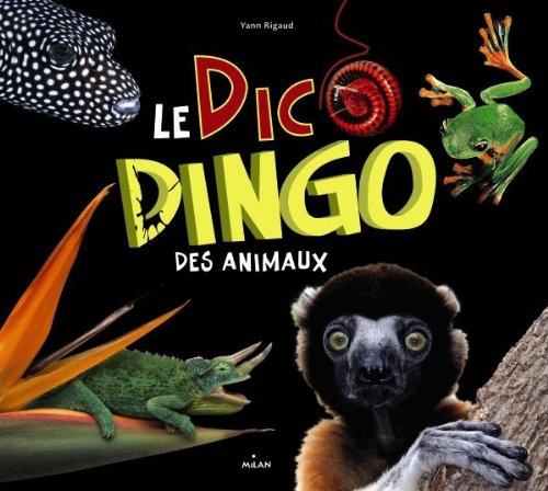Amazon.com: Le dico dingo des animaux (Documentaires nature): 9782745956798: Yann Rigaud: Books