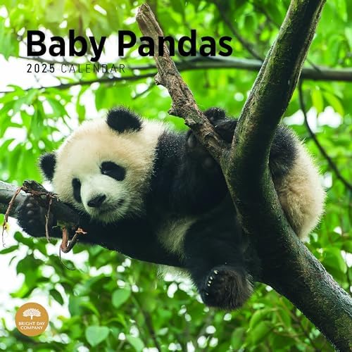 2025 Baby Pandas Monthly Wall Calendar by Bright Day, 12 x 12 Inch Cute ...
