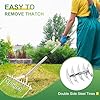 Amazon.com : 62" Thatch Rake, Adjustable Handle 15-Inch Wide Lawn ...