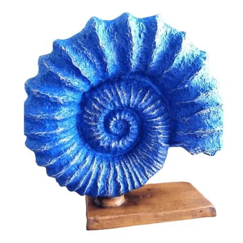 Amazon.com: Seashell Sculpture, Fossil Shell Statue, Shell Art Decor ...