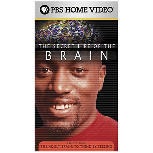 Amazon.com: Secret Life Brain: Adult Brain & To Think by Feeling [VHS ...