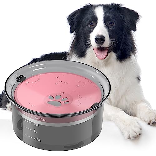 10 Best Floating Dog Bowls to Keep Your Pup Hydrated and Happy: A ...