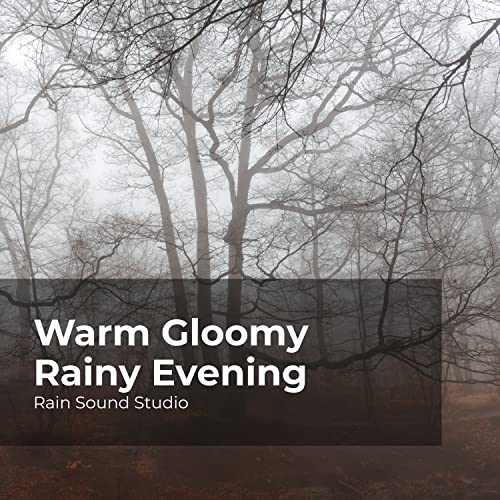 Play Warm Gloomy Rainy Evening by Rain Sound Studio, Meditation Rain ...