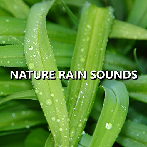 Amazon.com: Nature Rain Sounds : Rain Sounds: Digital Music