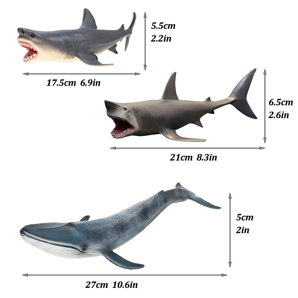 Carcharodon Megalodon Shark