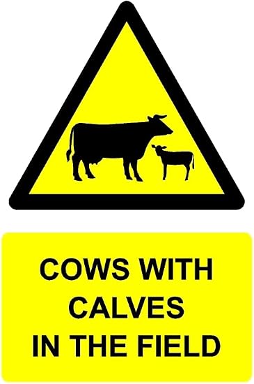 Cows with calves in the field safety sign - 1mm flexible Plastic sign ...