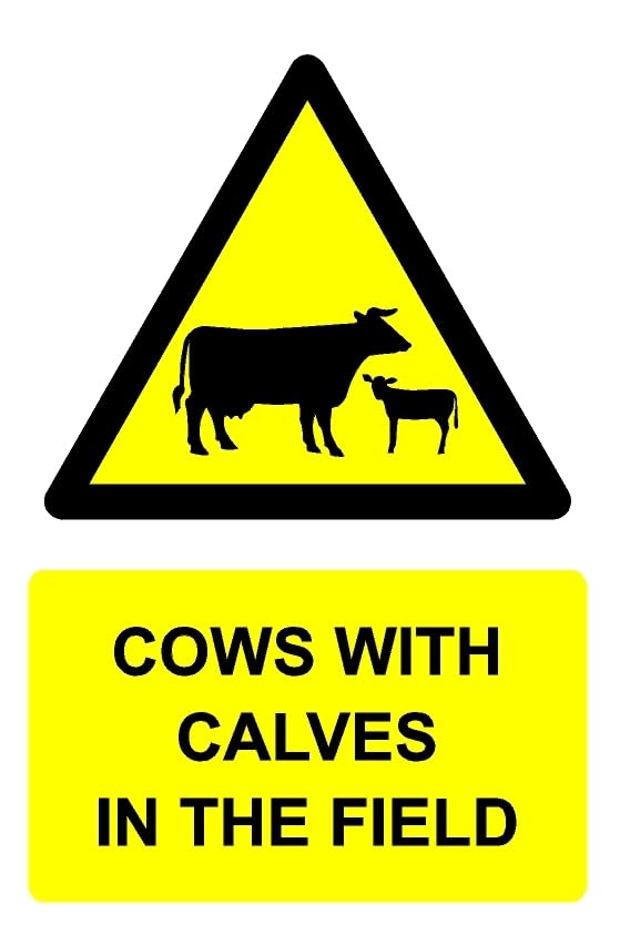 Cows with calves in the field safety sign - 1mm flexible Plastic sign ...