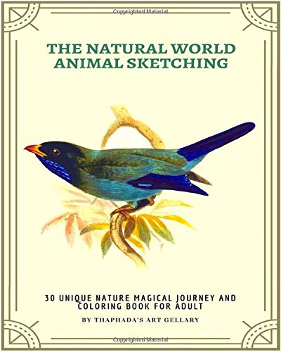 The Natural World Animal Sketching: 30 Unique Nature Magical Journey ...