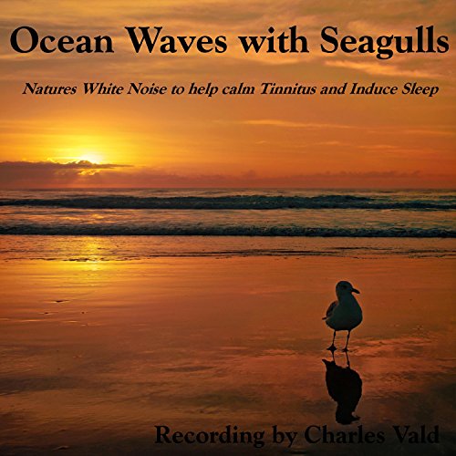 Amazon.com: Ocean Waves with Seagulls (Natures White Noise to Help Calm ...