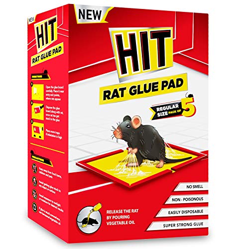 Amazon.in Bestsellers: The most popular items in Rodent Control
