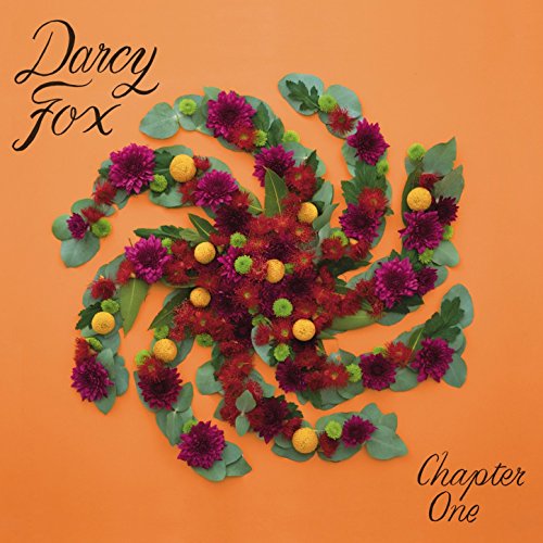 Amazon.com: Chapter One : Darcy Fox: Digital Music