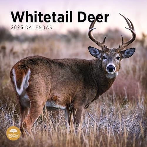 2025 Whitetail Deer Monthly Wall Calendar by Bright Day, 12 x 12 Inch ...