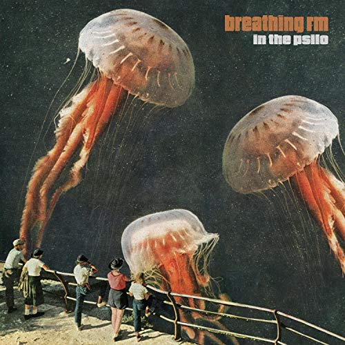 Amazon.co.jp: In the Psilo : Breathing Rm: デジタルミュージック