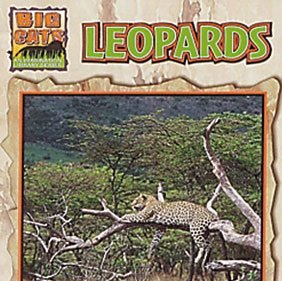 Leopards (Big Cats): Gentle, Victor, Perry, Janet: 9780836830262 ...