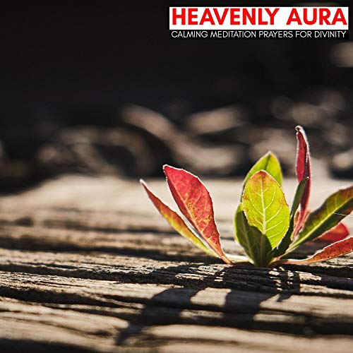 Heavenly Aura - Calming Meditation Prayers For Divinity : Charles ...