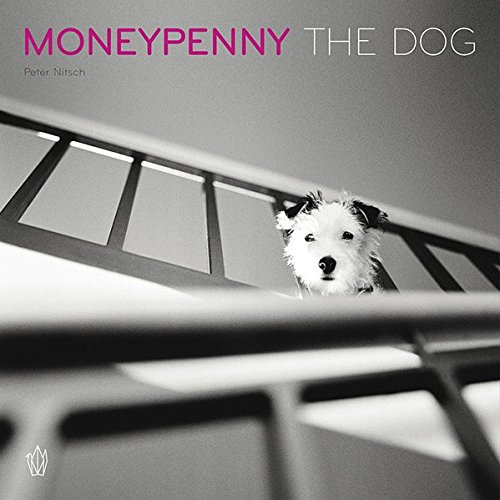 Moneypenny the Dog: A Homage to a Dog, Photography, and Life Itself ...