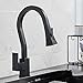 WELLHY Faucet Black Gold Gourmet Kitchen Faucet with Flexible Pull Down ...