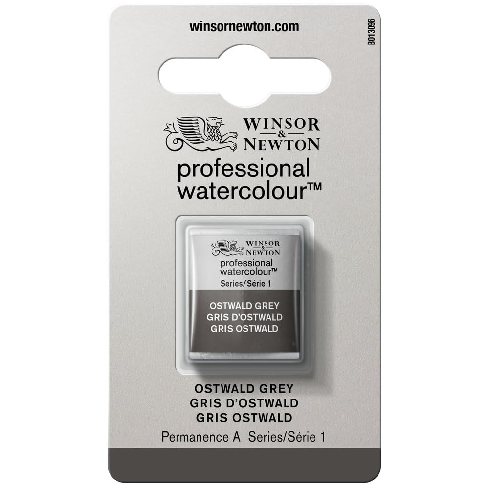 Amazon.com: Winsor & Newton Professional Watercolour, Revival ...