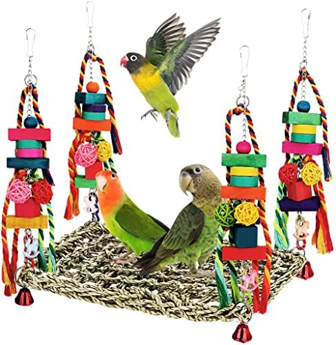 Amazon.com : Bird Swing Toys with Wood Perch, AHIER Bird Seagrass Woven ...