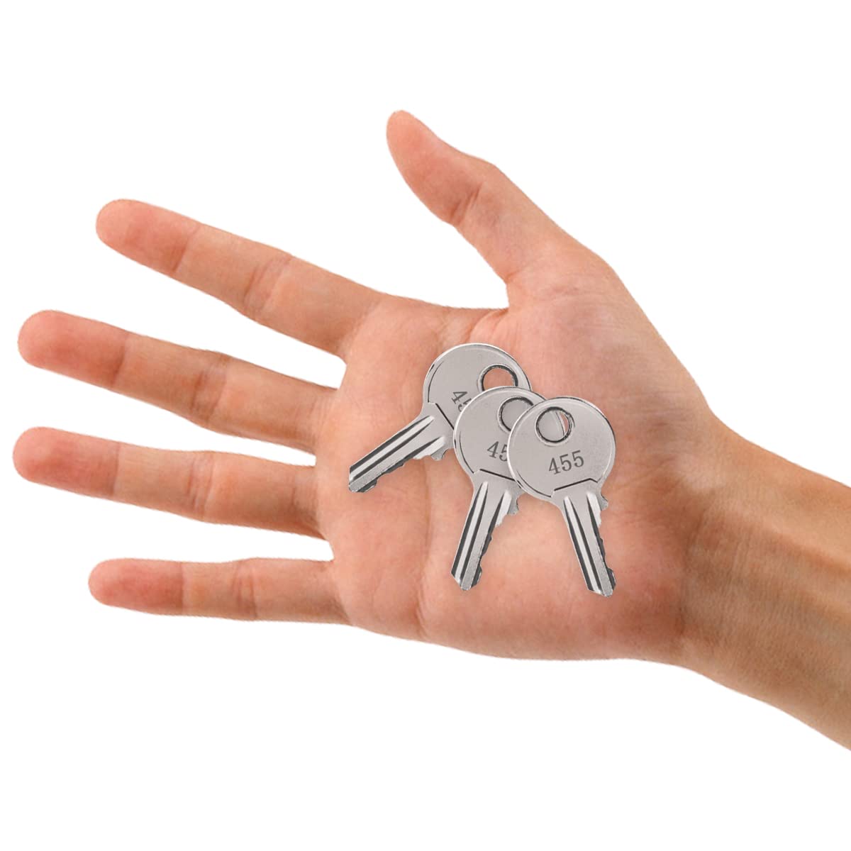 Snapklik.com : 10 Pcs Ignition Keys 455 For Heavy Equipment Forklift ...