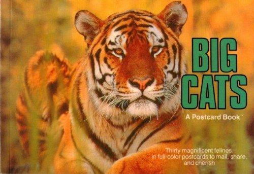 Big Cats: A Postcard Book: Running Press: 9780894717734: Amazon.com: Books