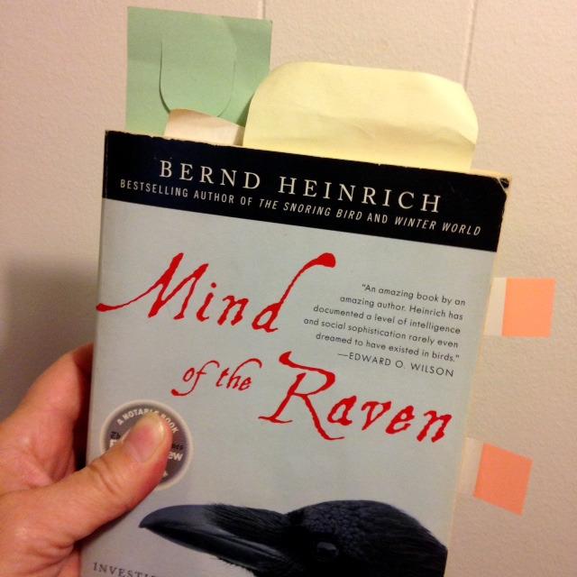 Mind of the Raven Lib/E: Investigations and Adventures with Wolf-Birds ...