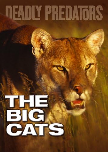 Deadly Predators - The Big Cats [DVD]: Amazon.co.uk: DVD & Blu-ray