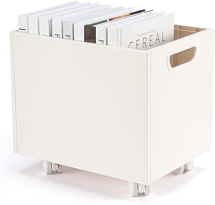 Amazon.com: CINPIUK Rolling File Organizer with Wheels, Stackable ...