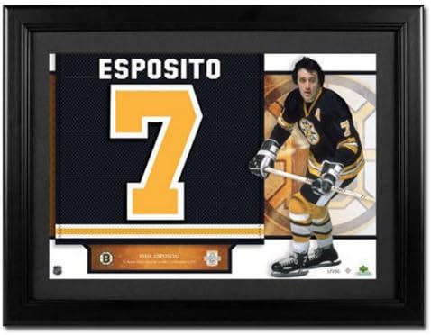 Amazon.com: Phil Esposito Boston Bruins Retired Unsigned Jersey Numbers ...