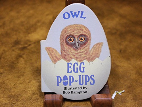 Owl Baby Pop-Ups (Egg Pop-ups!): Golden Books: 9780307173034: Amazon ...