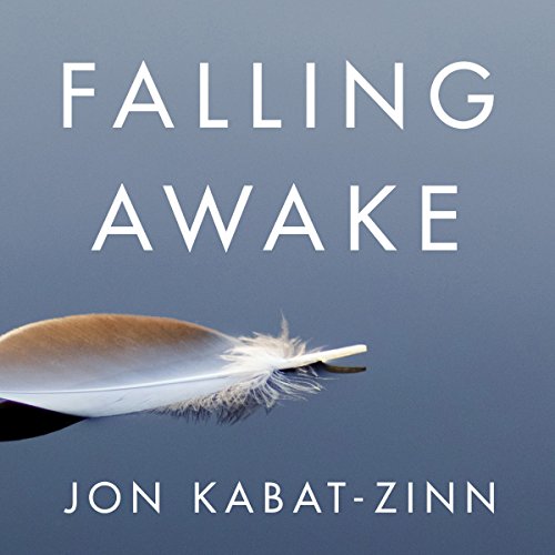 Falling Awake (Audio Download): Jon Kabat-Zinn, Jon Kabat-Zinn ...